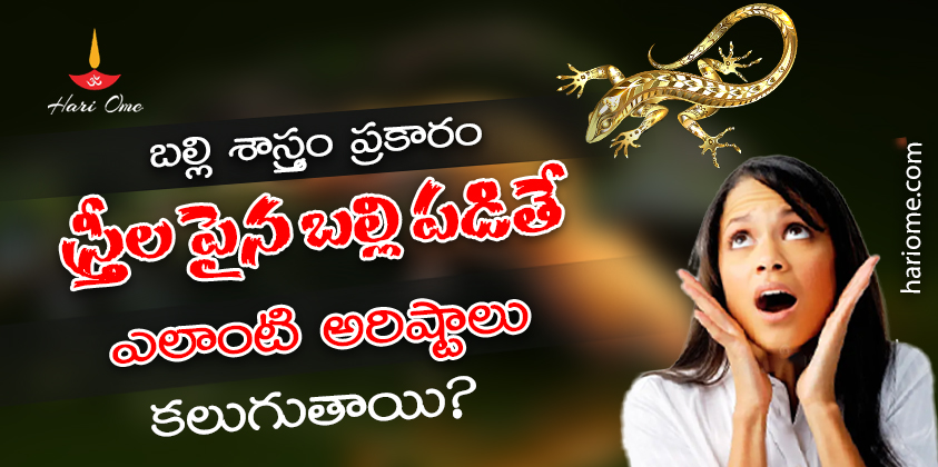 బల్లి శాస్త్రం ప్రకారం స్త్రీల శ‌రీరంపై ఏయే భాగాల్లో బ‌ల్లి ప‌డితే ...